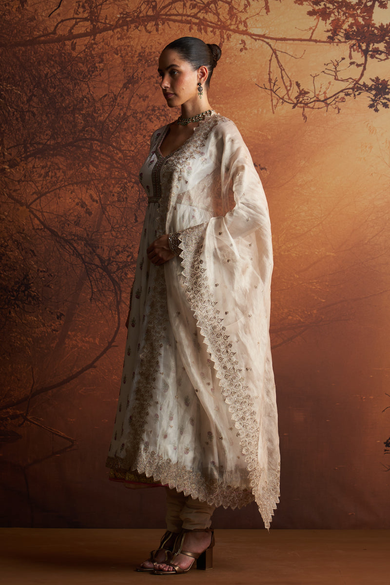 TOOSH ORGANZA TISSUE EMBROIDERED DUPATTA (SNK-31) – Anju Modi